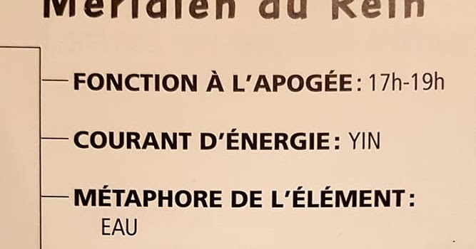 Phytospiritualité: Le méridien Rein ou l’élément Eau de l'hiver