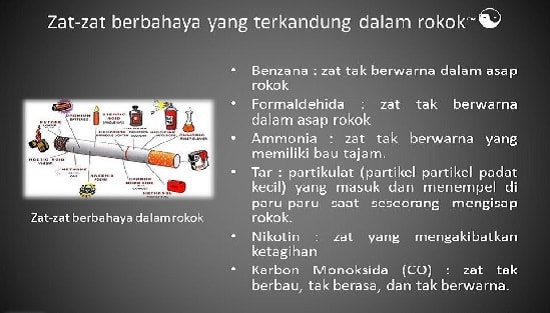 Apa Itu Rokok? 4000 Zat Kimia Dalam 1 hisapan