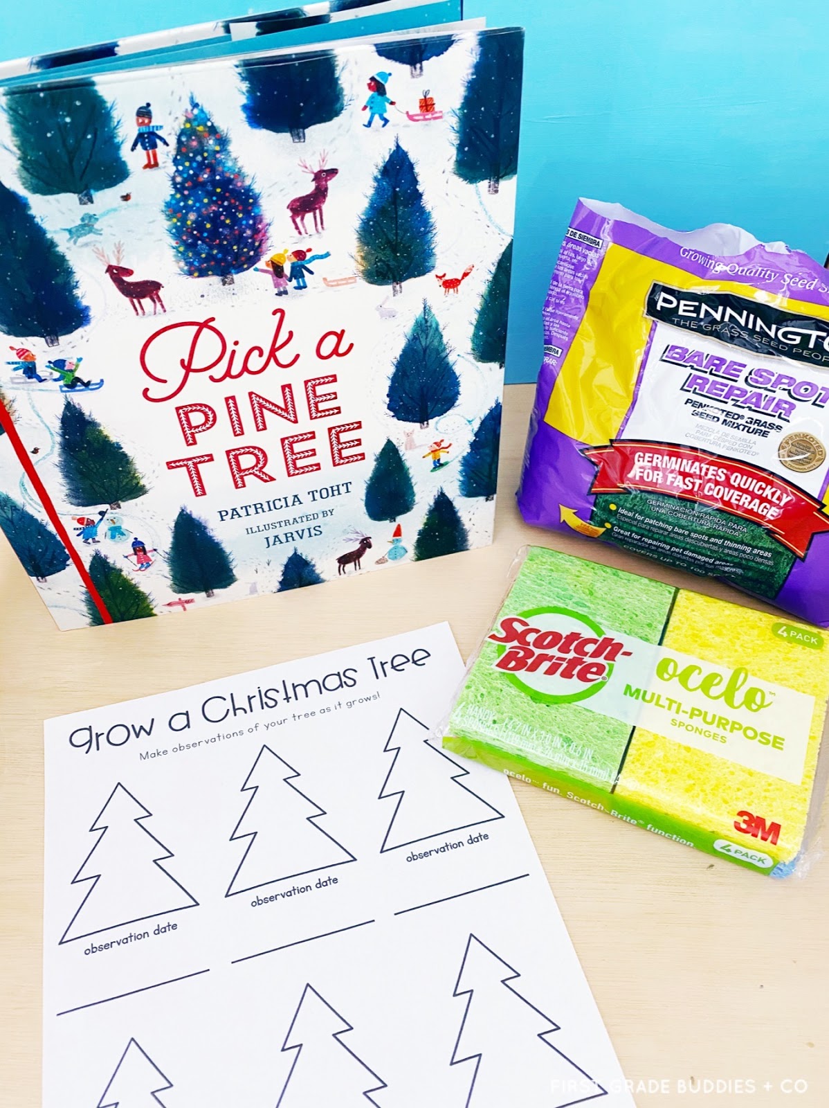 Simple Science : Grow a Tree | First Grade Buddies