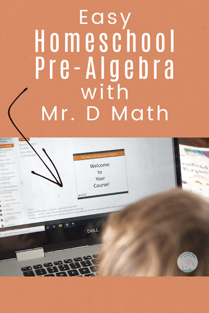 Homeschool Pre-Algebra Made Easy with Mr. D Math - Life with Moore Babies