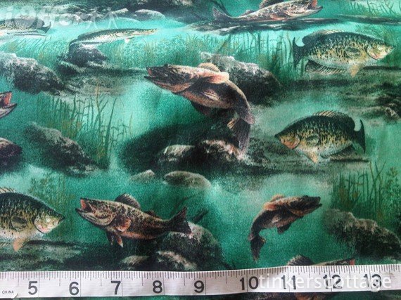 Best Rock Fishing: Bass fishing frenzy