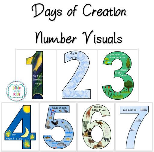 Creation, Adam and Eve Overview | Bible Fun For Kids