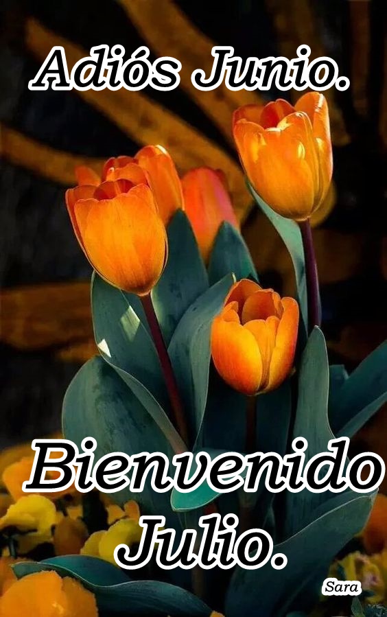 POSTALES DE FIN DE JUNIO