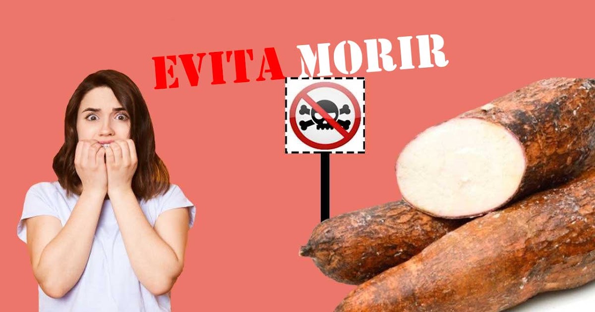 Aprende a reconocer la yuca amarga antes de cocinarla y evita MORIR ...