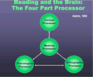 Education 569: Assistive Technology: Reading Process Conceptualized via ...