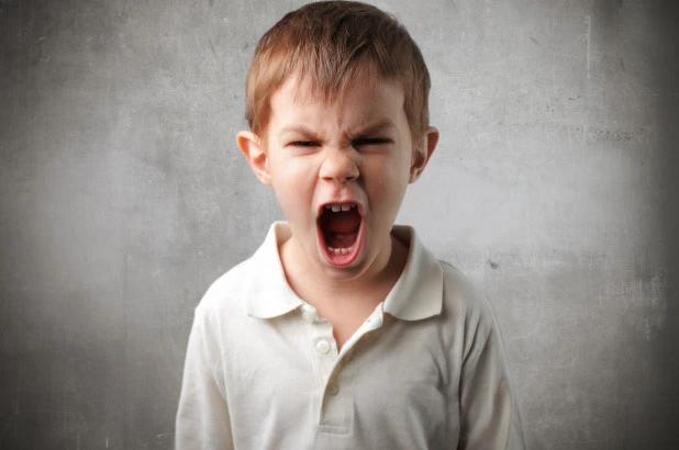 GRAĐANSKI KRUG: Kako se prave psihopate