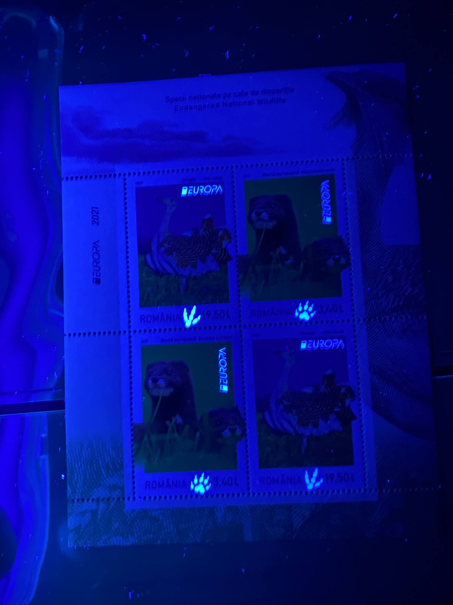 Philaquely Moi: Glow in the Dark Stamp Under UV Stamps - Update