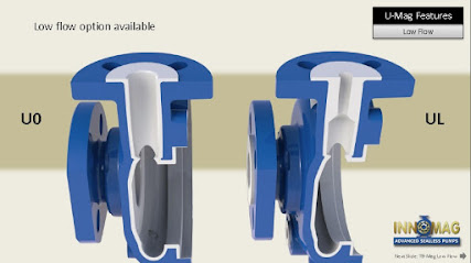 Bơm Flowserve Innomag