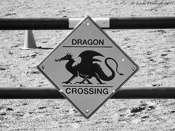 The View from Squirrel Ridge: Signs of Dragons