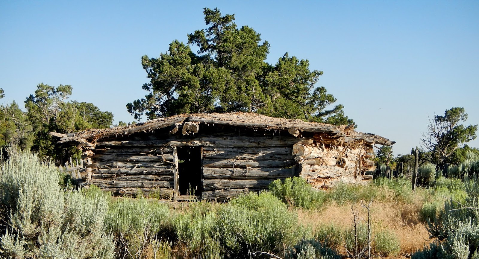 The Southwest Through Wide Brown Eyes: Old Homesteads Have Everlasting ...