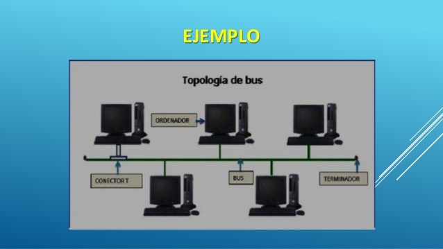 Topologia Bus : TOPOLOGIA BUS