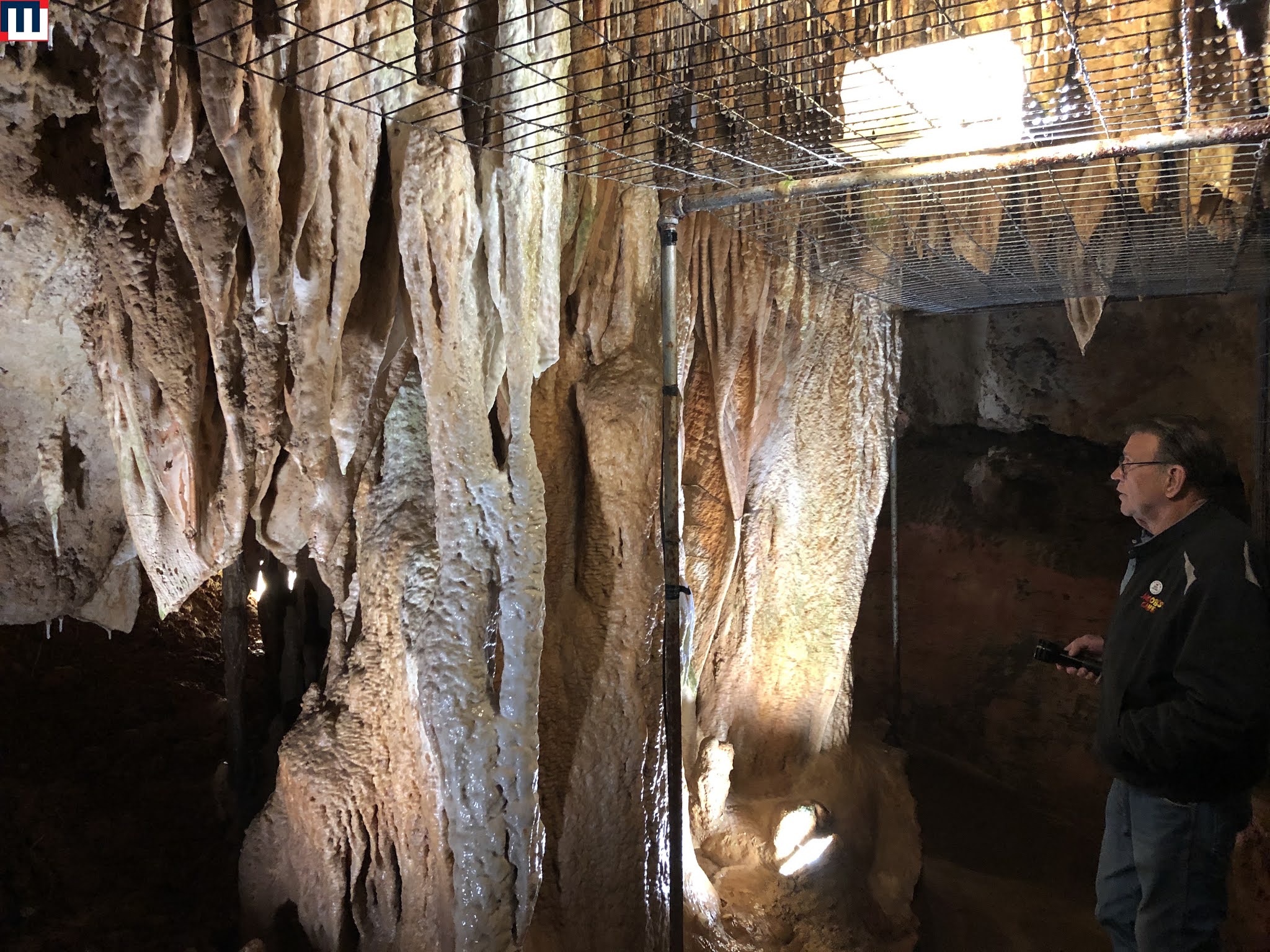 MidwestInfoGuide: Jacob's Cave