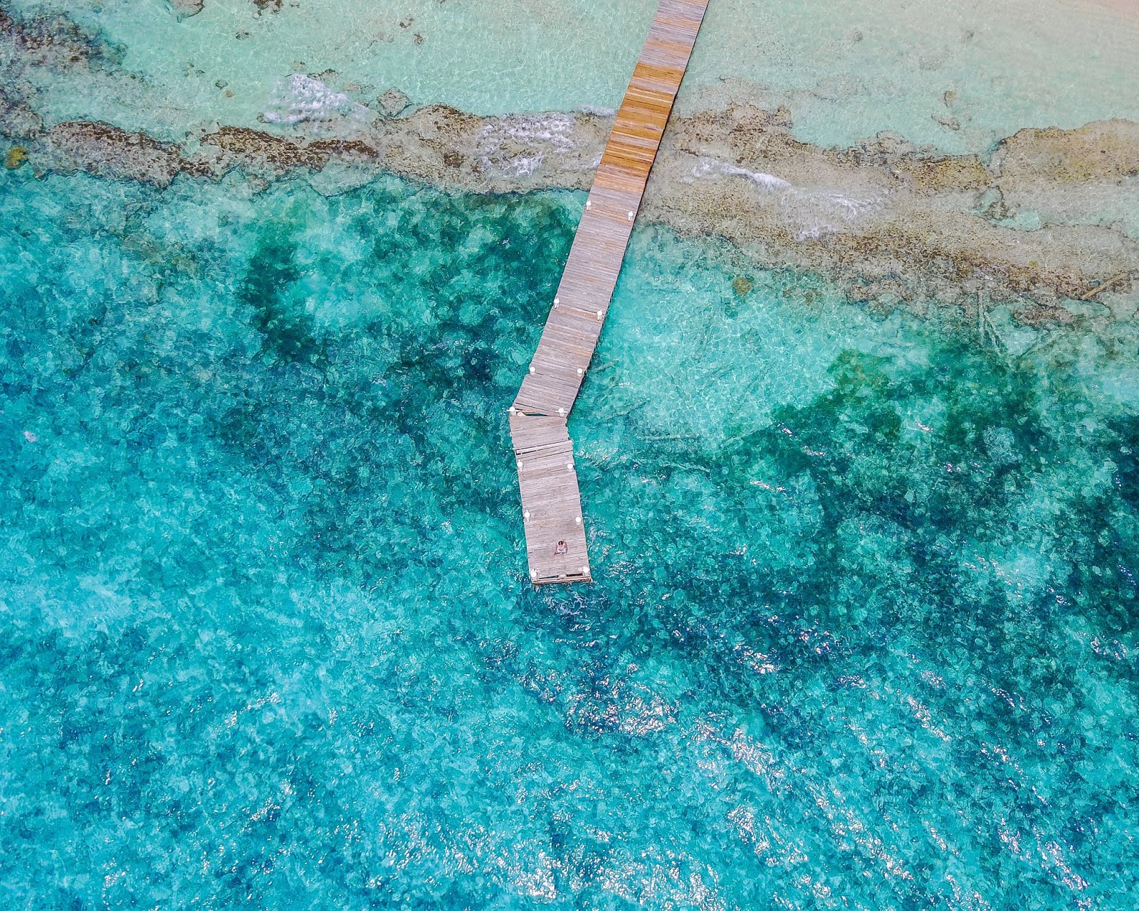 Alice Gostick: Things to do in Grand Cayman - Visit Little Cayman