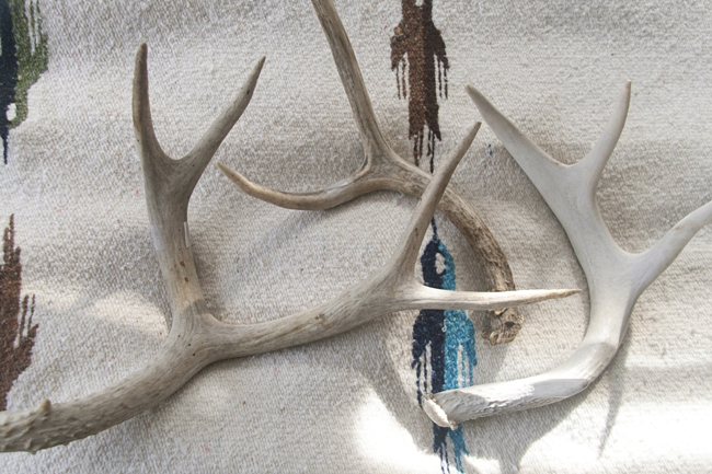 insideways: Pretty Small Things: a blanket and antlers
