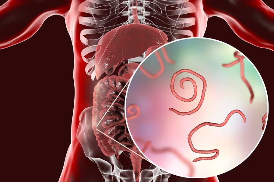 Pharmaceutical Microbiology
