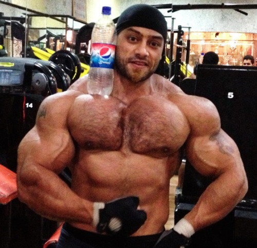 world bodybuilders pictures: iraqi charming bodybuilder jantee shaaban ...