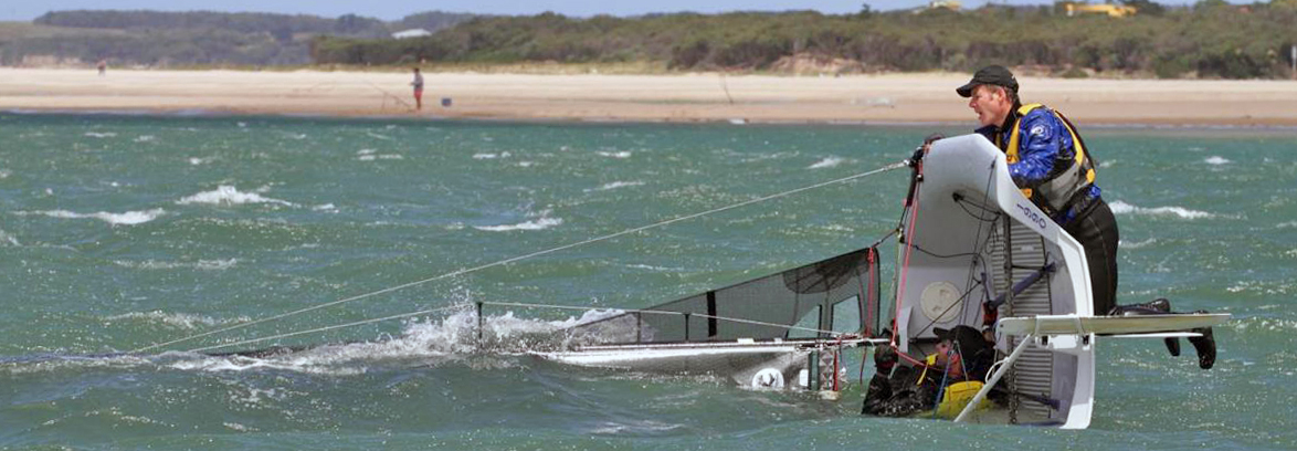 Earwigoagin: November 2015