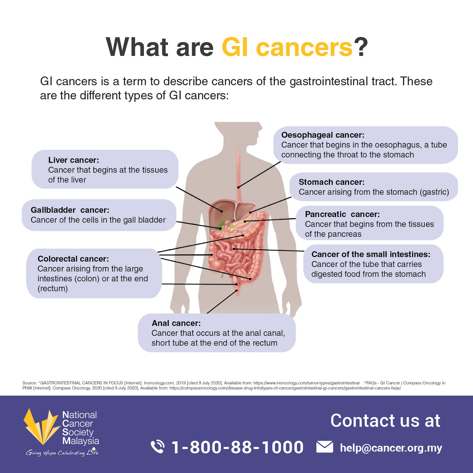 National Cancer Society of Malaysia, Penang Branch: What Are GI Cancers?