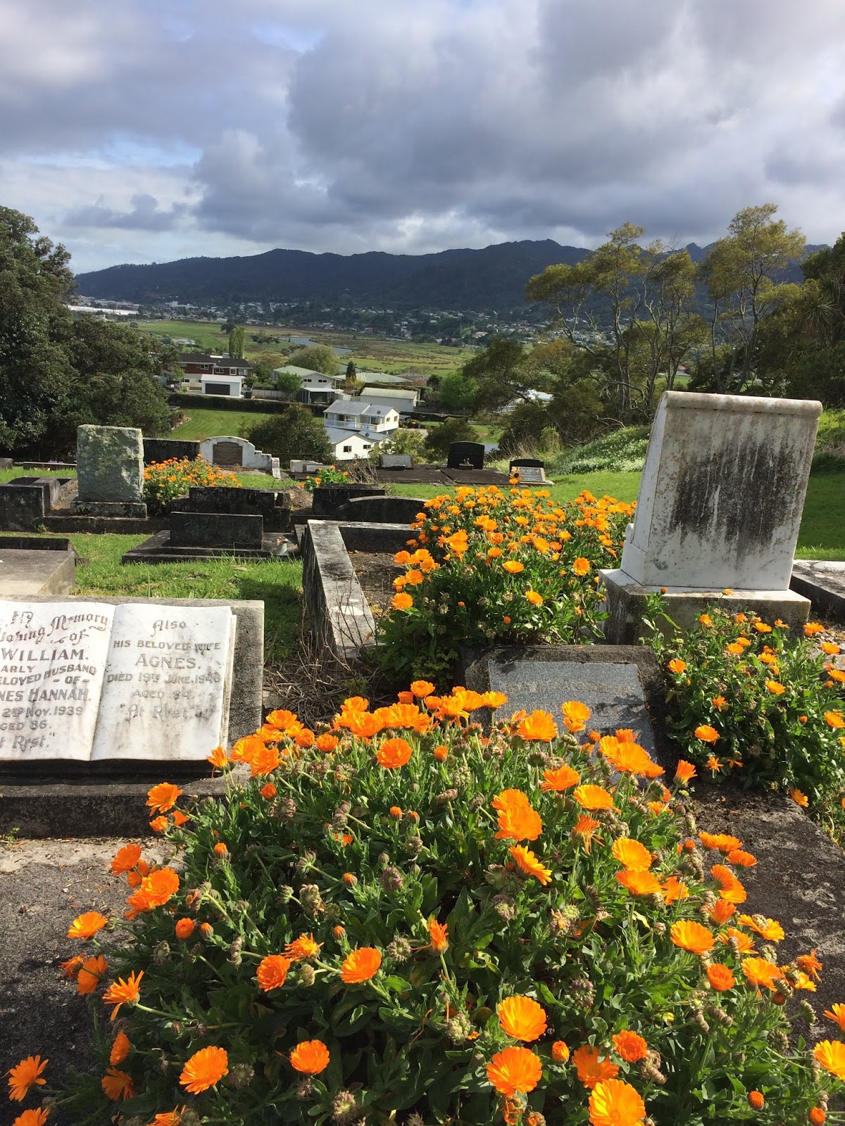 Thames NZ: Genealogy & History Resources: Thames (NZ): Totara Cemetery