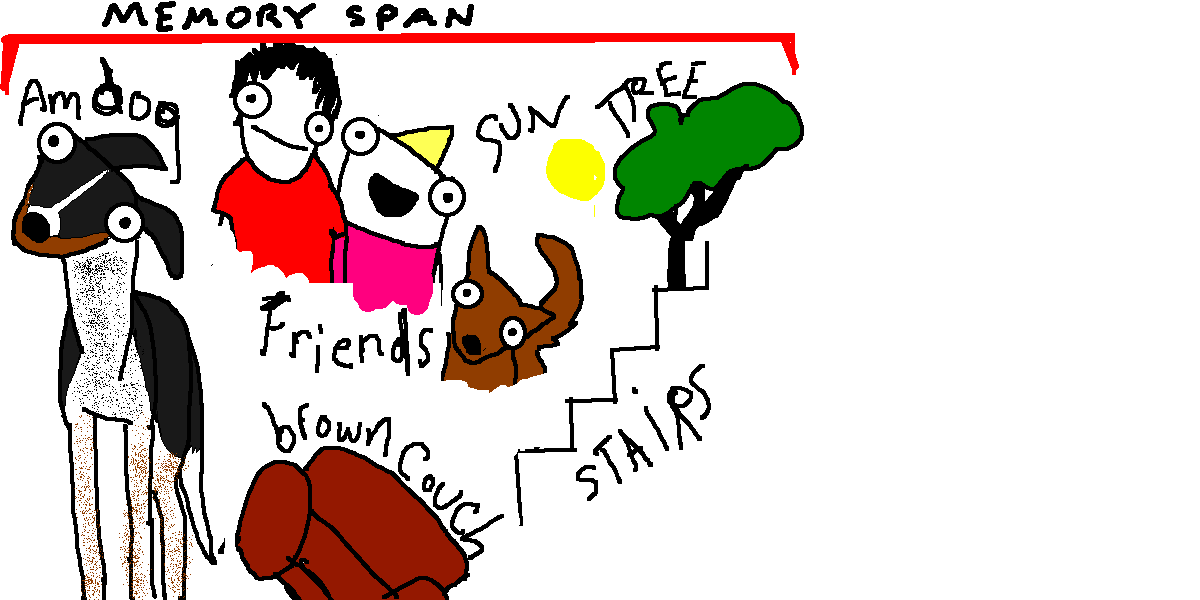 Hyperbole and a Half: Wild Animal (The Simple Dog Goes for a Joy Ride)