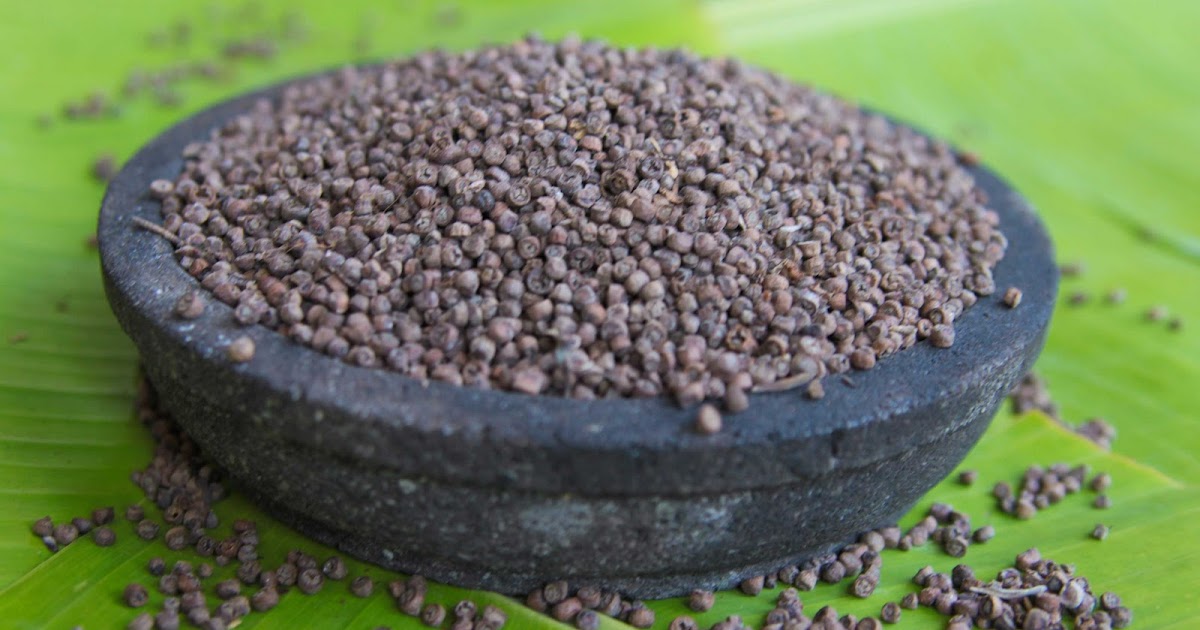 FARMAKOGNOSI : Fructus (buah): MELALEUCAE FRUCTUS