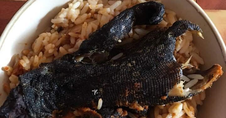 Nigerian activist eats a bowl of rice and lizard meat ~ World Gist Zone ...