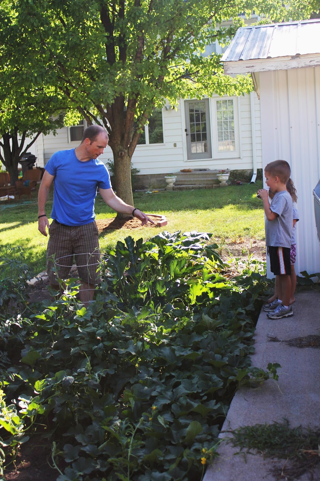 The Niewald Kitchen Table : Growing Things