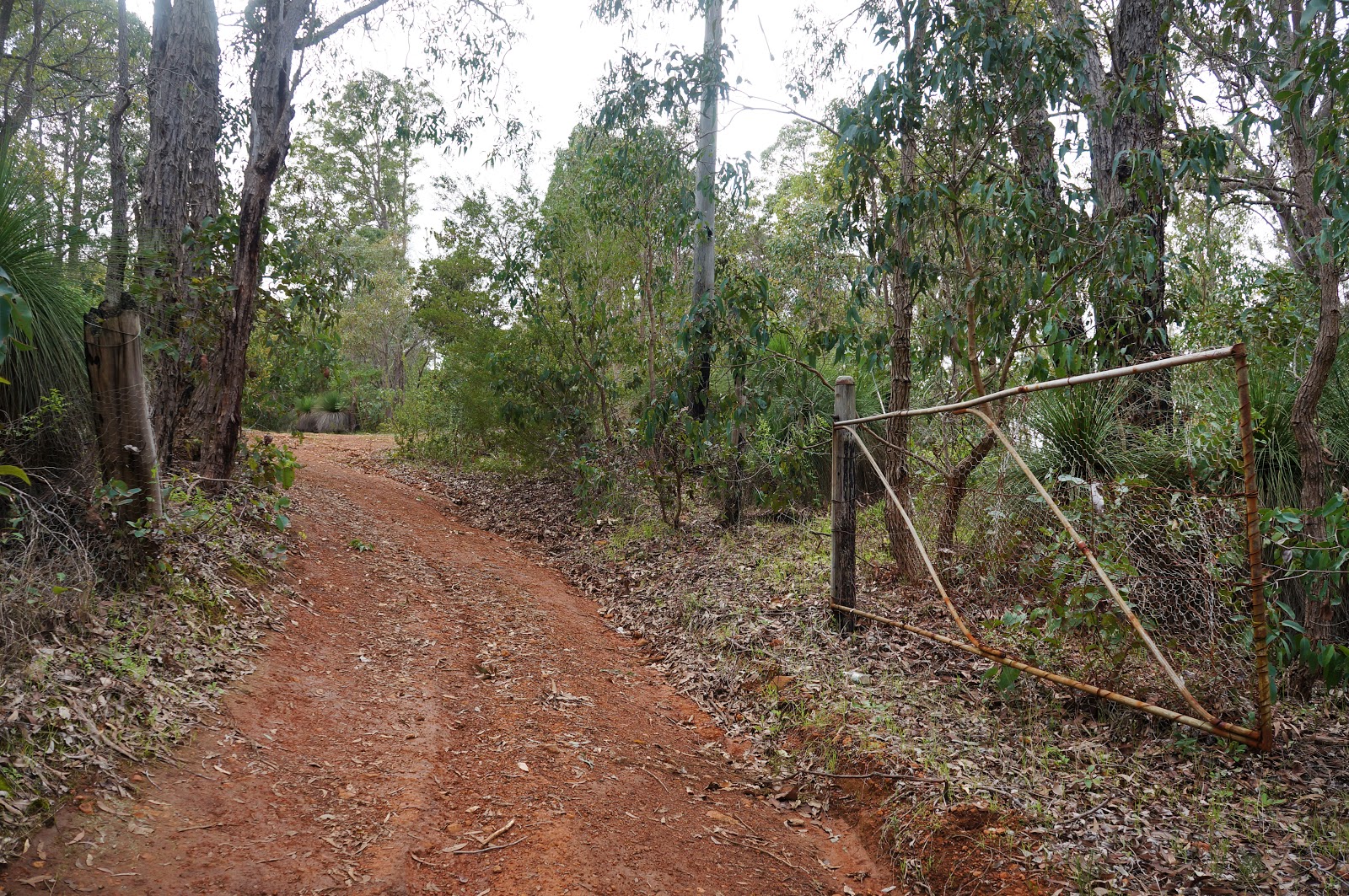 Wungong Gorge Walk GPS Route (Wungong Regional Park) ~ The Long Way's ...