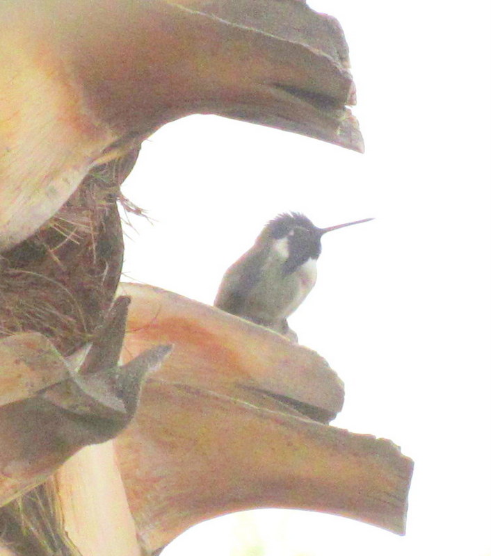 Allison's Post Work Thinking - now that I have time to think: The ...