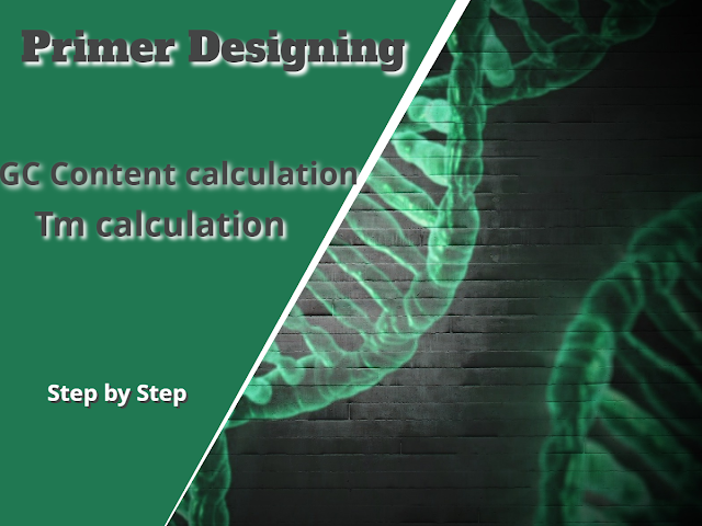 Primer designing- designing a Primer by NCBI Tool - TechSci