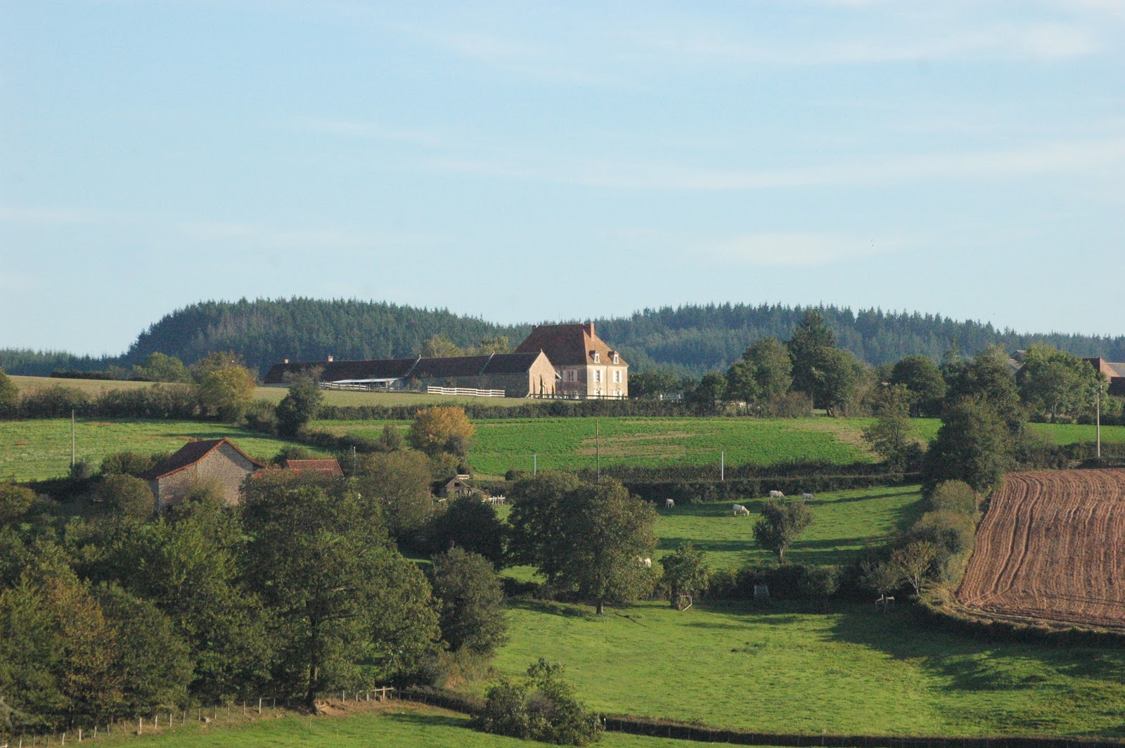 SUIN, sentinelle du Charolais.: Galerie