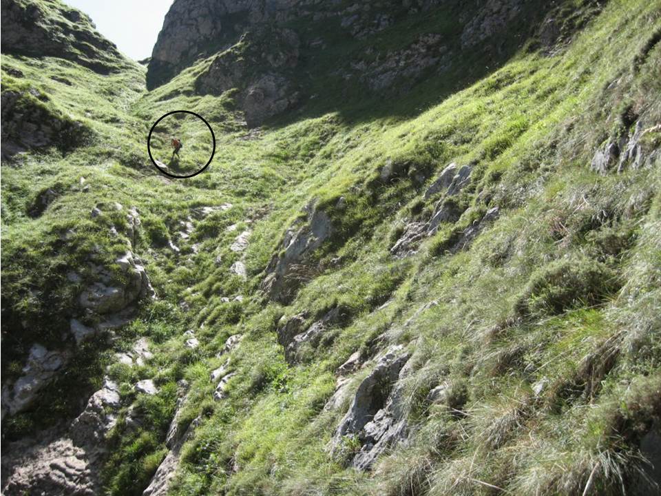 PUCAVI El Macizo Oriental de los Picos de Europa y el Desfiladero de La ...
