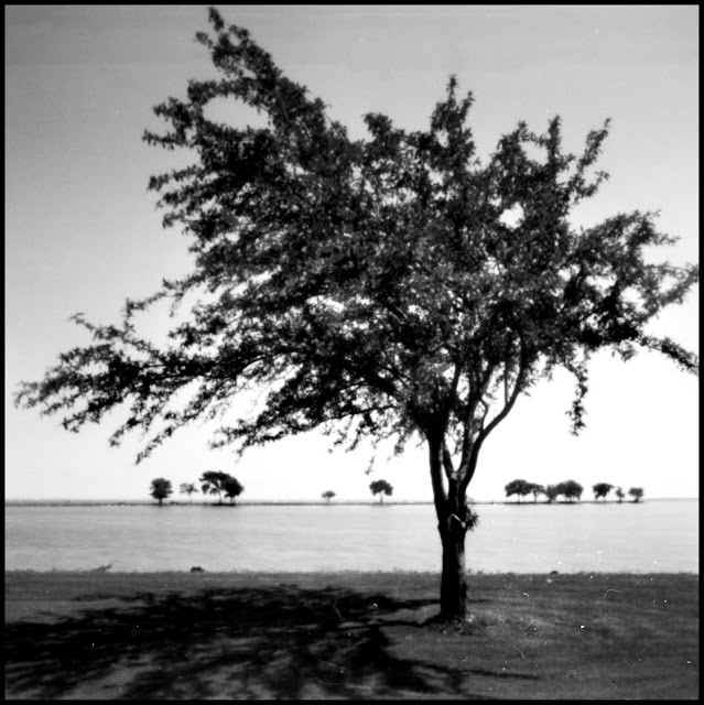 Pinholica: The cult of The Risen Pinhole