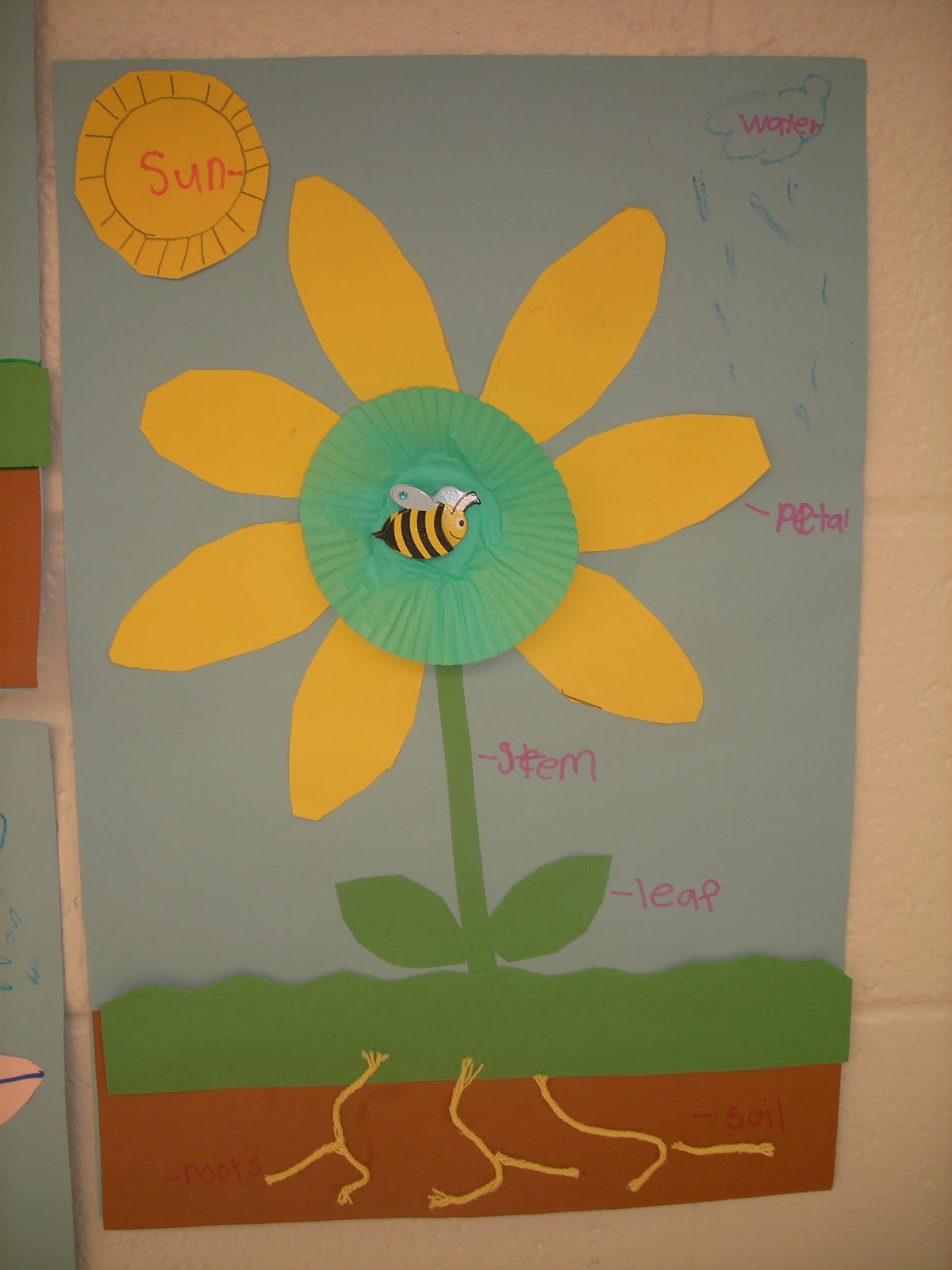 Creating Lifelong Learners: Plant Parts and Needs Diagram Creating Lifelong Learners: Plant Parts and Needs Diagram