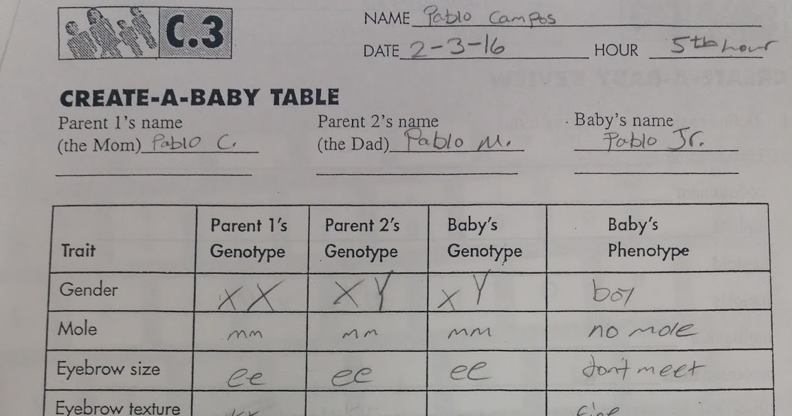 Pablo's Biology Blog: Create a baby Genetics