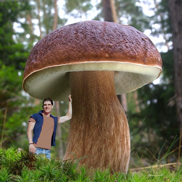 Slovenská kuchyňa: novembra 2012