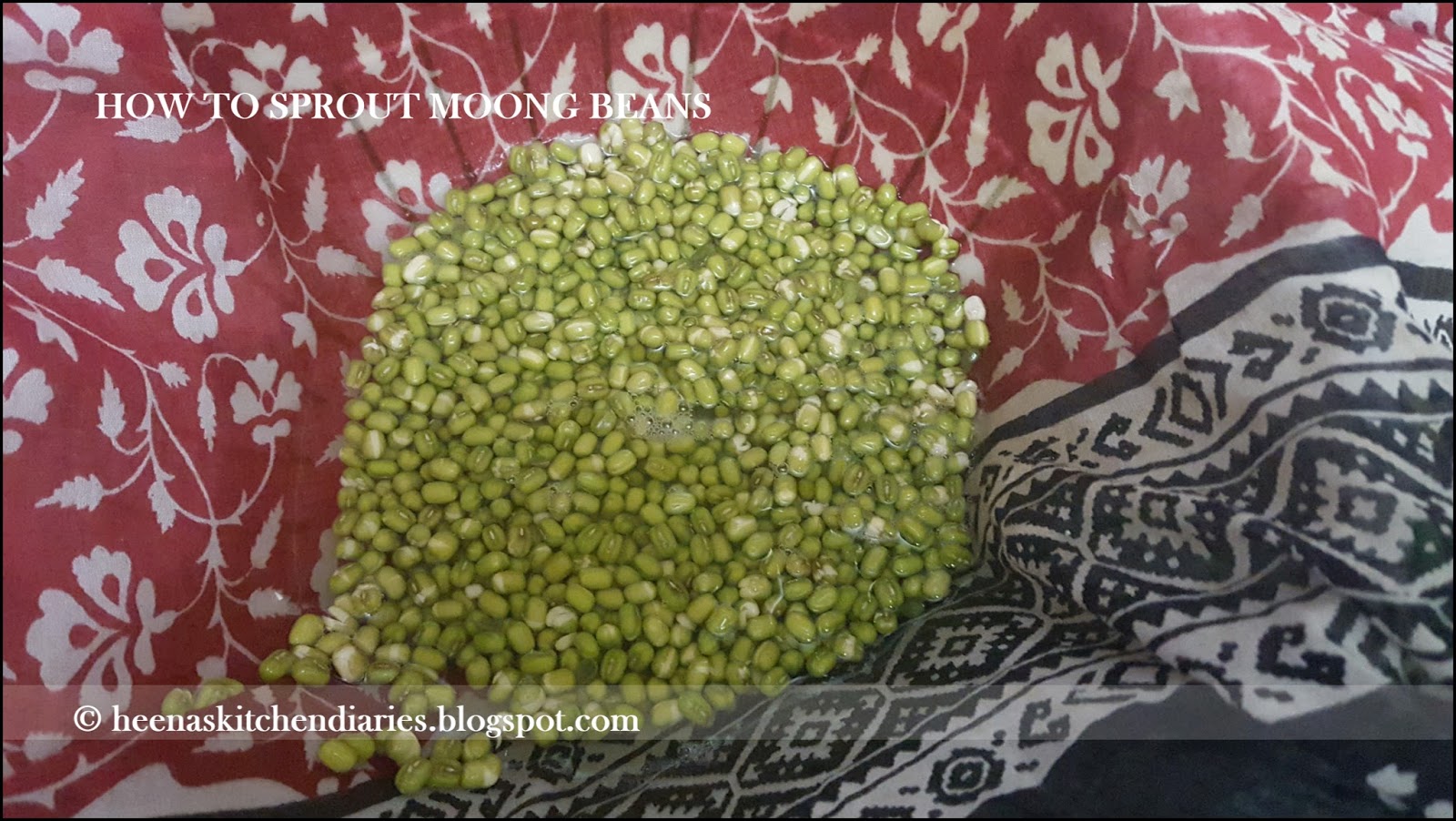 Heenas Kitchen Diaries How To Sprout Moong Beans Perfectly Each Time