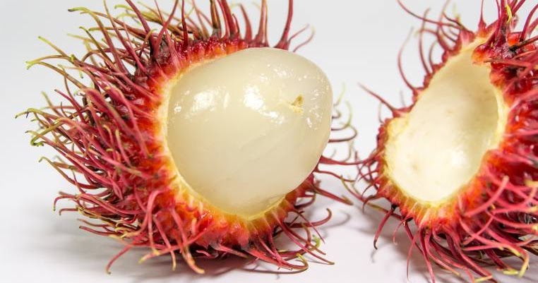 Manfaat Buah Dan Daun Rambutan Yang Harus Kamu Ketahui - WADAHTEKNO