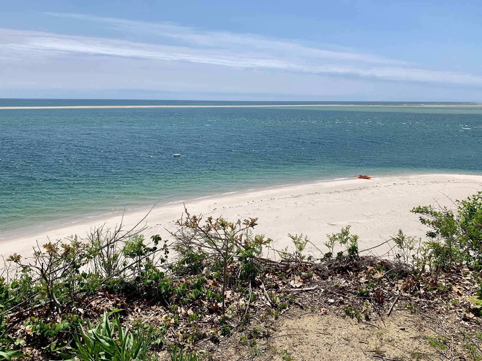 Attempted Bloggery: Cape Cod 2019: Monomoy Island National Wildlife Refuge
