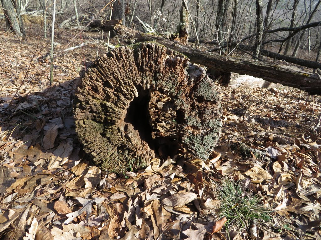 Skookum Traveler: Big Ridge and Cranny Crow (WV)