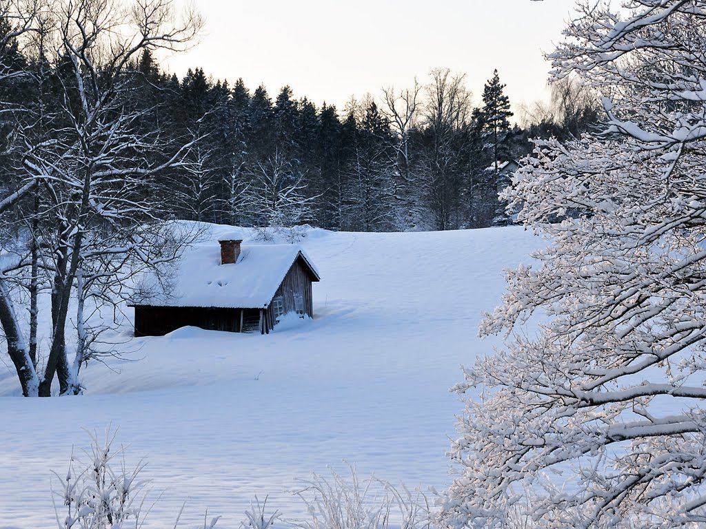 beautiful wallpaper: Winter wallpaper