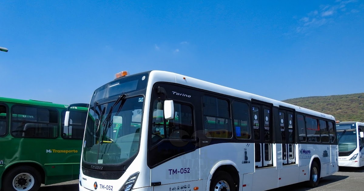 Nuevos Marcopolo Torino para Mi Macro Calzada