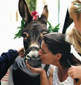 NaijaGistMEE: Meet The Woman Who Married A Donkey [PHOTOS]