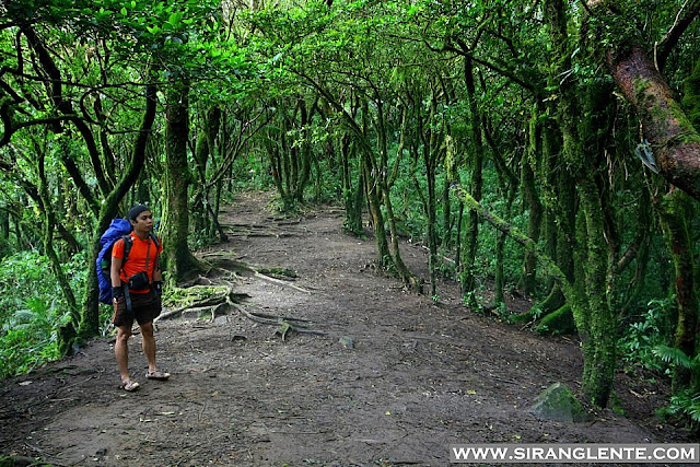 SIRANG LENTE | TRAVEL & HIKE: MT. CRISTOBAL: 2021 HIKING GUIDE | QUEZON TOURIST SPOTS