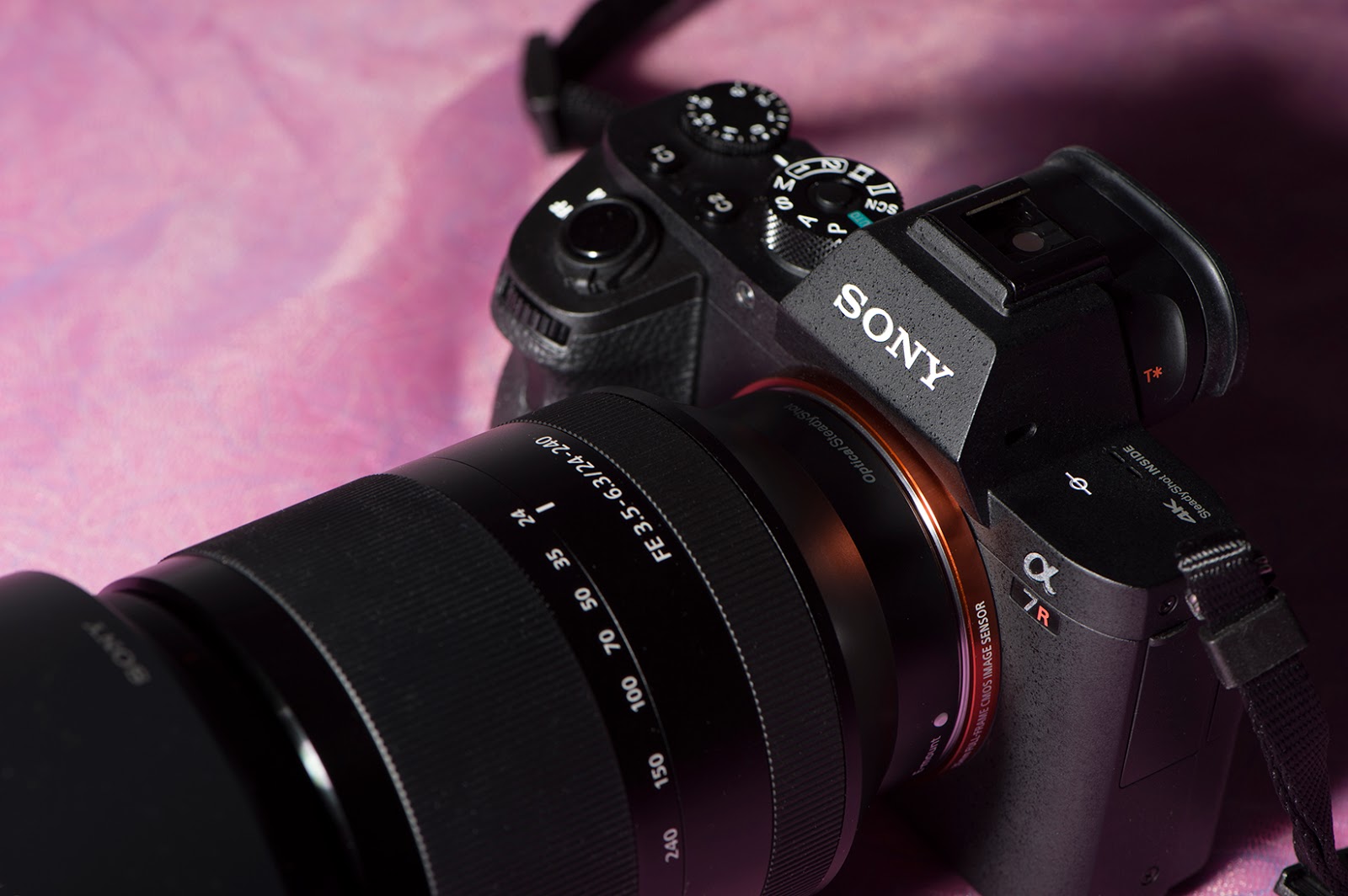 Master Photography Blog (Learn, Create, Motivate!): #21 New Shoots and ...