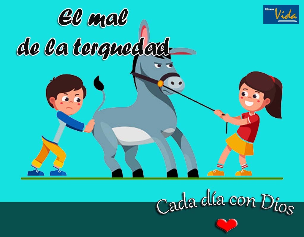 Neco Vida: Cada día... El mal de la terquedad.