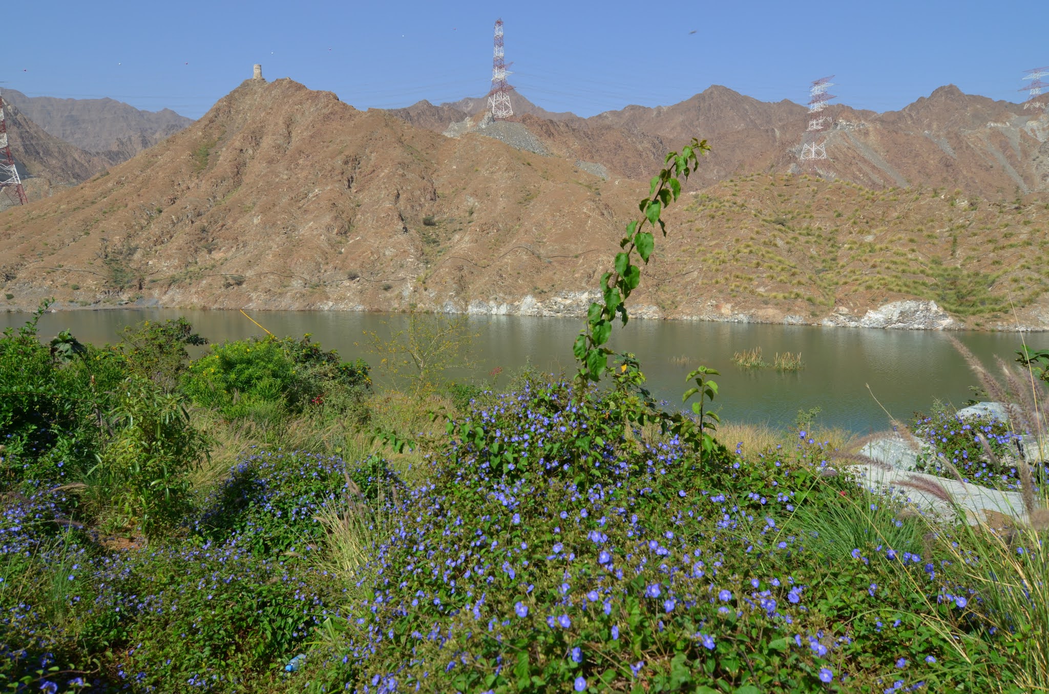 Beautiful UAE: Al Rafisah Dam, Sharjah