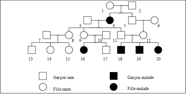 5 Exercices corrigés en génétique humaine | Bio faculté
