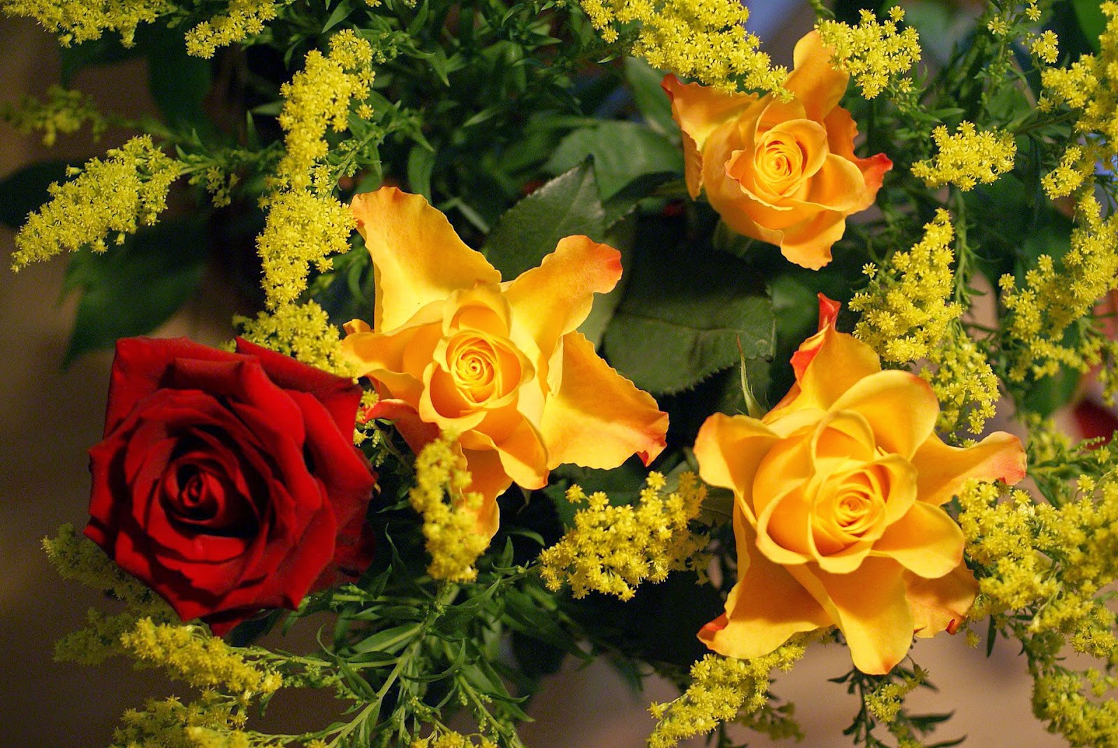 purpura: LA PARÁBOLA DE LA ROSA