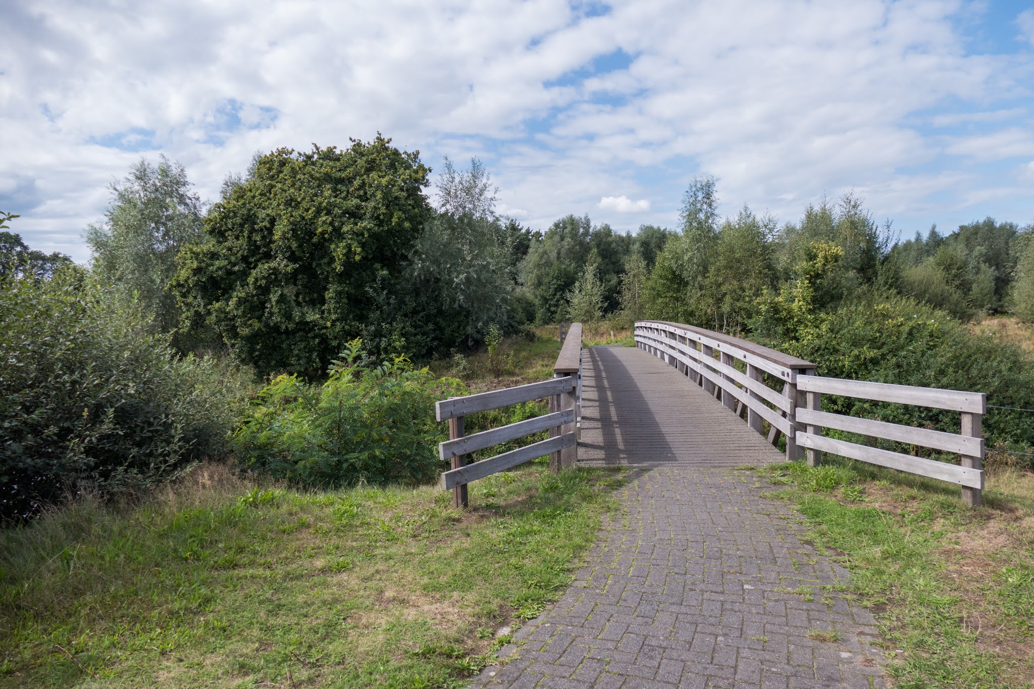 R&R.Natuurlijk: Rondje Regge: op de fiets door het gebied van de Regge ...